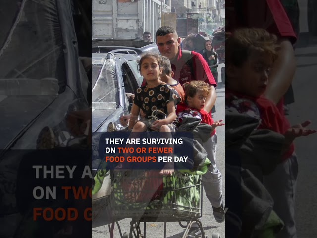 UNICEF finds 90% of Gazan children lack food needed for proper growth