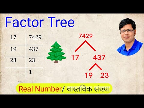 Factor Tree 🌲 of 7429 Real Number Class 10th CBSE
