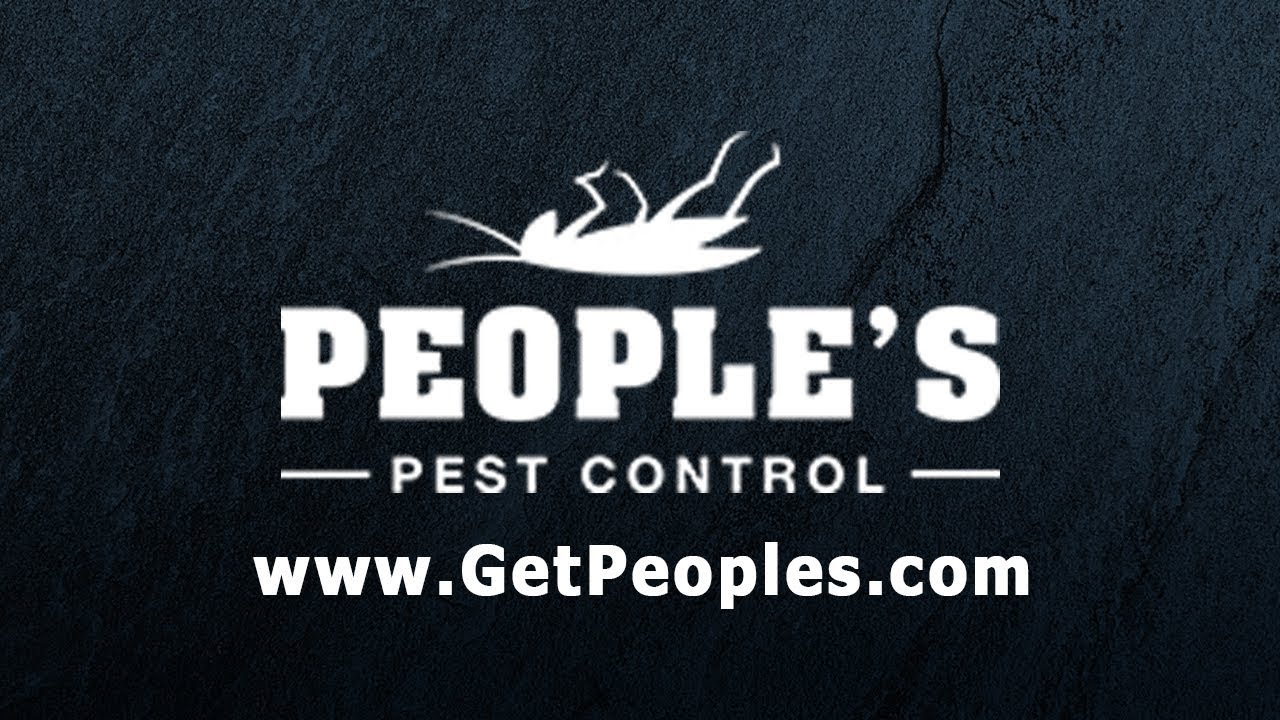 The Difference Between Carpenter Bees & Bumble Bees | GetPeoples.com