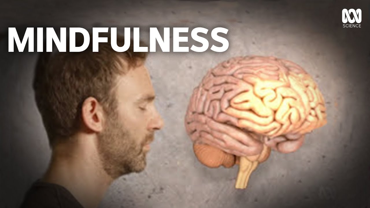 The science of meditation | Catalyst