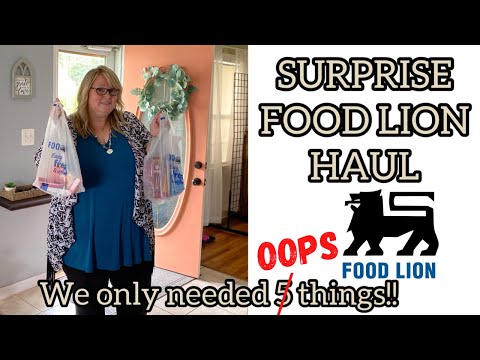 FOOD LION GROCERY HAUL 2020 // WEEKLY GROCERIES // USING IBOTTA REBATES