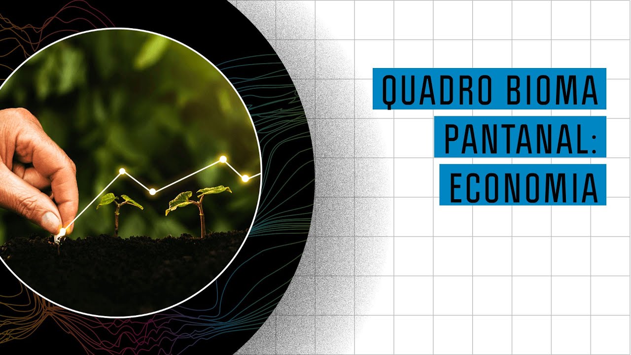 Quadro Bioma Pantanal: Economia