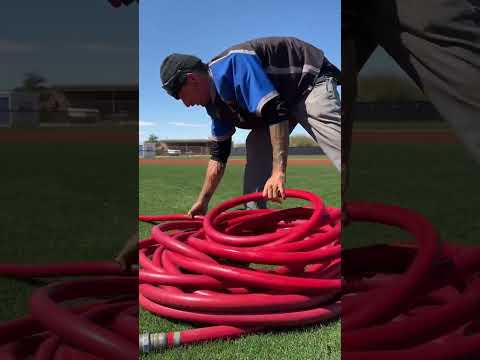 Baseball is back! ๐โพ (via @whitesox/TT)