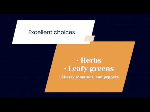 "City Greens: A Quick Guide to Urban Gardening for Modern Lifestyles". #UrbanGardening #CityGreens