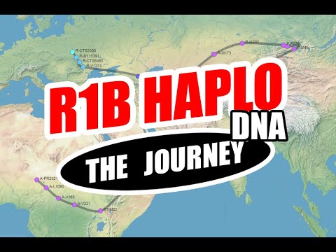 DNA Is Crazy