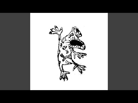 NOK 9 (Fennesz Remix) (feat. Fennesz)