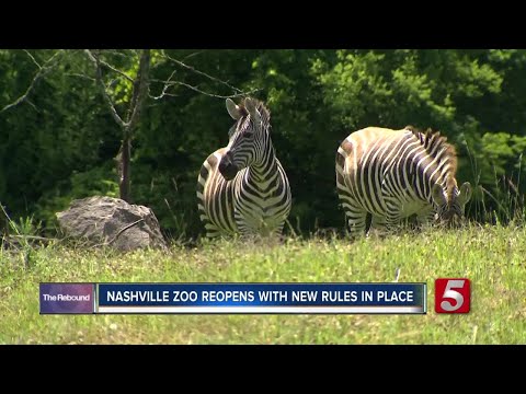 Nashville Zoo reopens with limited attendance amid the pandemic