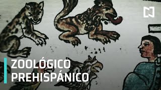 NMás - Lo Que Pocos Saben... : El Zoológico de Moctezuma - Expreso de ...