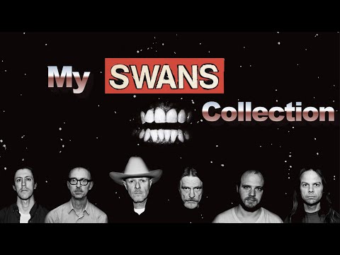 MY SWANS COLLECTION