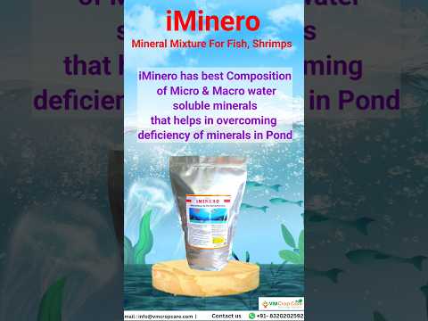 Fish Solubles at Best Price in India