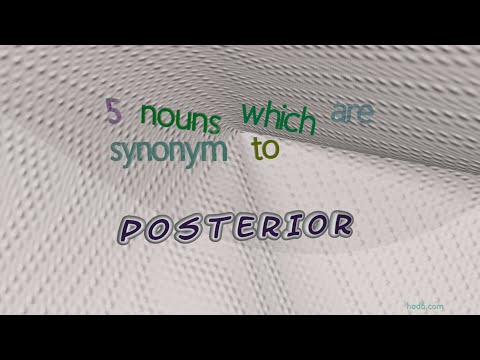 posterior - 8 nouns with the meaning of posterior (sentence examples)