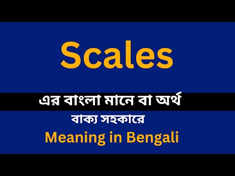 Scales meaning in bengali /Scales শব্দের বাংলা ভাষায় অর্থ অথবা মানে কি