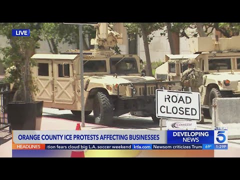 Santa Ana business owners say protests and military presence hurting foot traffic