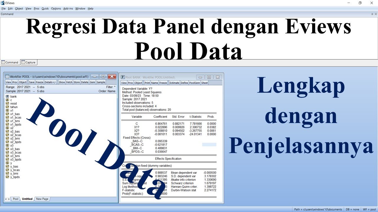 Regresi Data Panel dengan Eviews || Pool Data