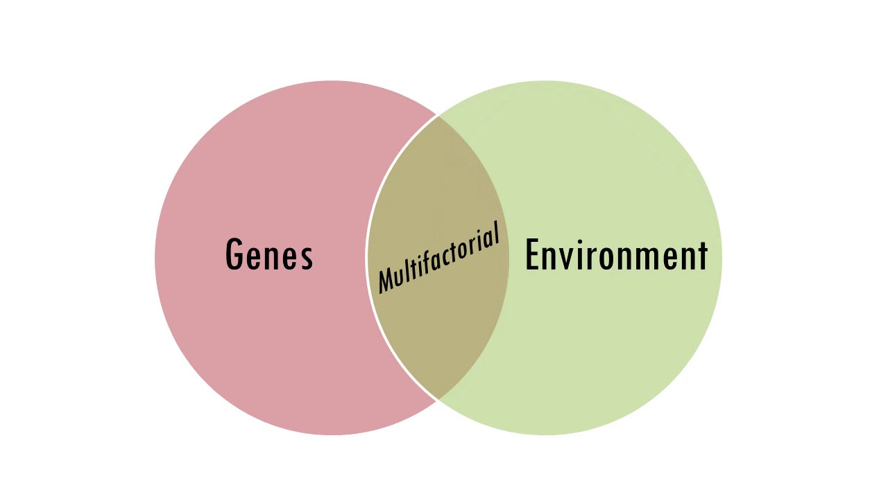 Multifactorial Inheritance