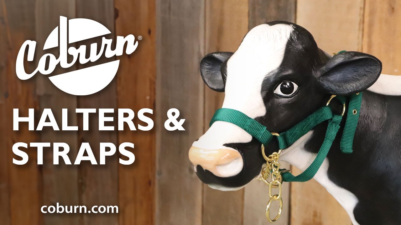 Coburn Halters and Neck Straps