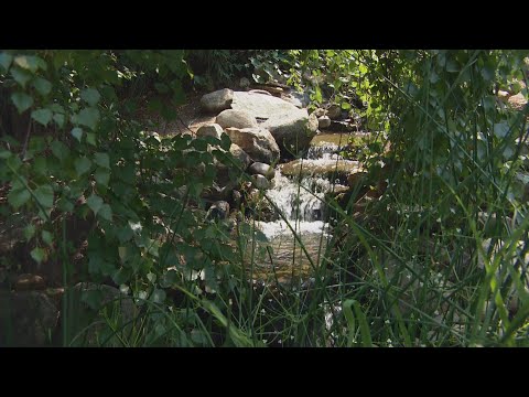 Sask. doctors can now prescribe nature for their patients
