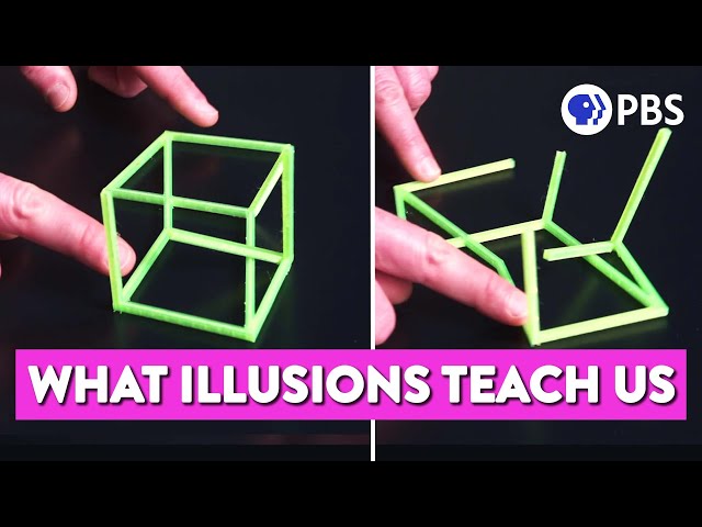 Understanding Reality: How Optical Illusions Reveal the Brain's Perception | Galaxy.ai