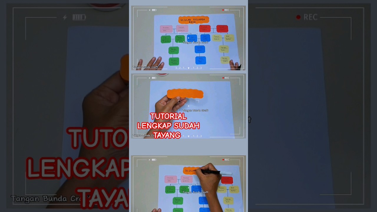 Cara membuat bagan silsilah  keluarga | tugas kelas 1 tema 4  #bagansilsilahkeluarga #tugassekolah