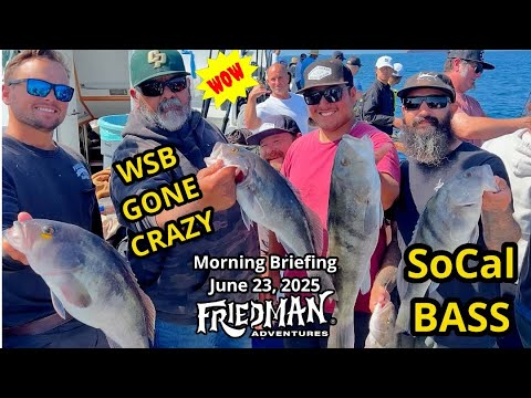 11-Year-Old’s EPIC 40-Pound White Seabass Catch! Spectacular SoCal Bass Fishing, BFT updates Mexico