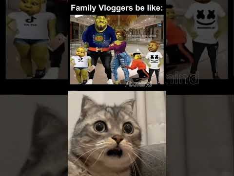 Family vloggers be like. #vloggers #shortsfeed