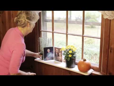 PlantSill Window Sill Extender & Cat Shelf