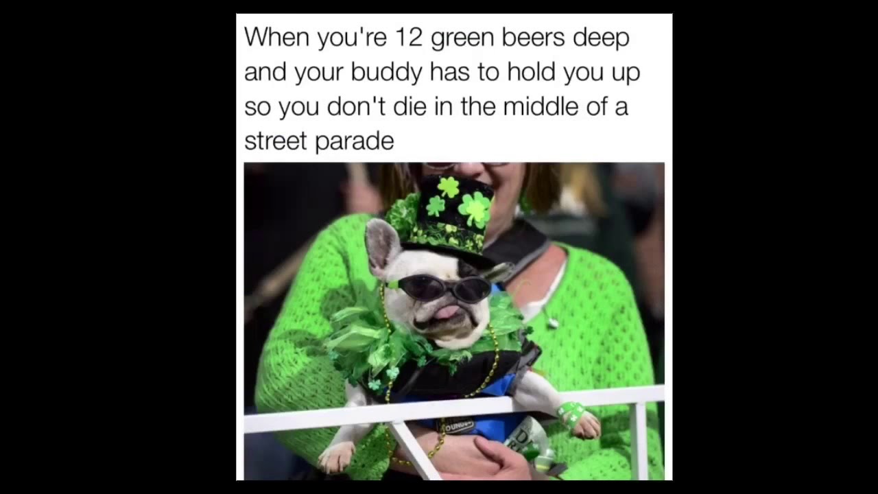 Saint Patrick's Day Meme Compilation Mini