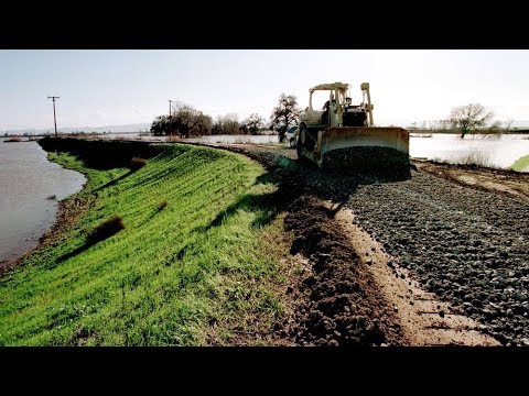 What are mitigation and adaptation?