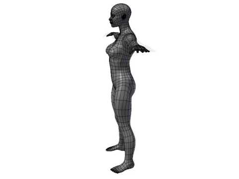 Female Basemesh