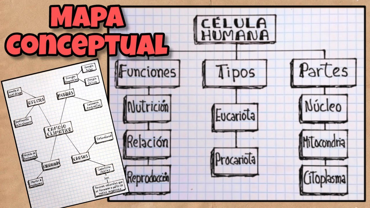 How to Make a Concept Map in 5 Steps