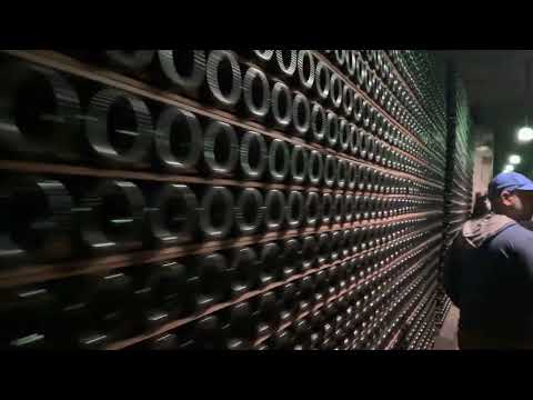 WSET Level 3 Bootcamp - In the Cave - Schramsberg Vineyards - Napa Valley Wine Academy #wsetlevel3