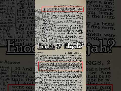 Who Are the 2 Witnesses in Revelation 11? - Simple Explanation #Shorts