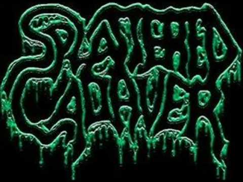 SPLATTERED CADAVER discography (top albums) and reviews