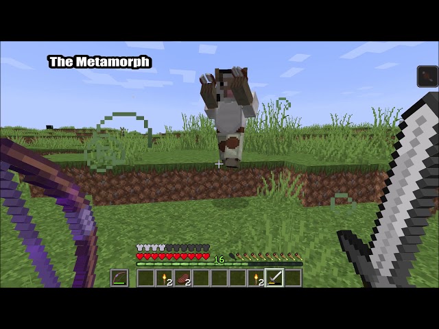 Metamorph (new Mob ) Minecraft Data Pack