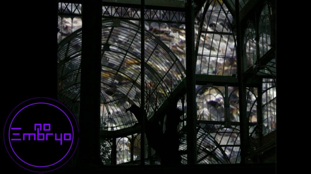 noEmbryo - Answered (Official video)