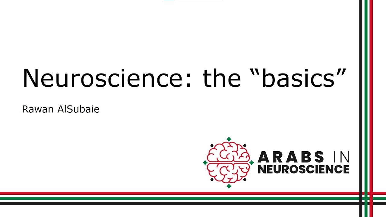 [Intro to Computational Neuroscience W1D3] Neuroscience Basics