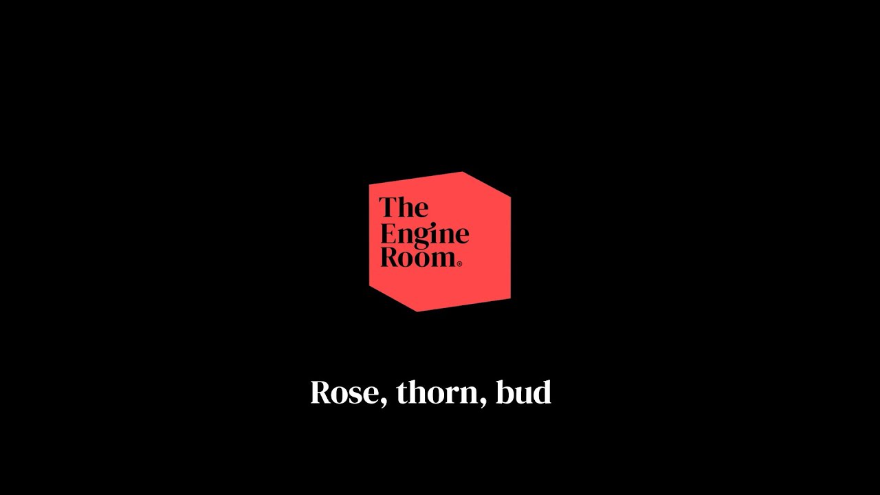Rose Thorn Bud. A visual method to generate feedback.