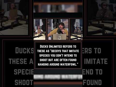 This isn't how you play Trivia!