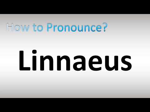 How to Pronounce Linnaeus