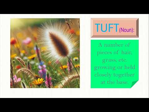 TUFT | Dictionary| Thesaurus| Vocabulary| Synonyms|Word| Meaning| English| Language|