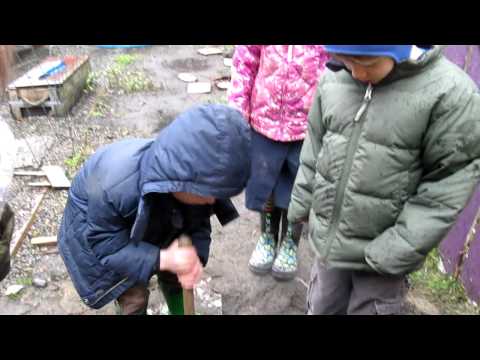 Digging Through the Layers of the Earth | The Living Classroom