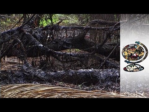 The Nigerian Communities Losing Out to Oil (1999)