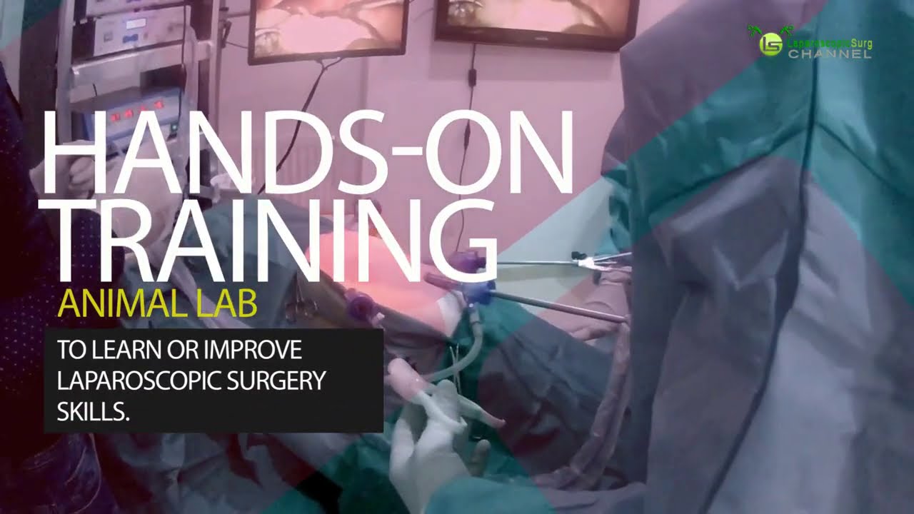 LaparoscopicSurg Training