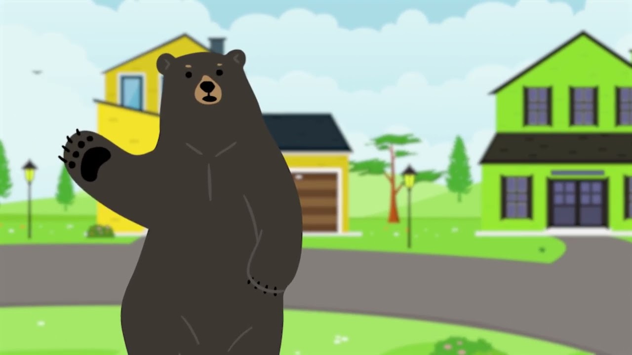 Black Bear Roofing 1