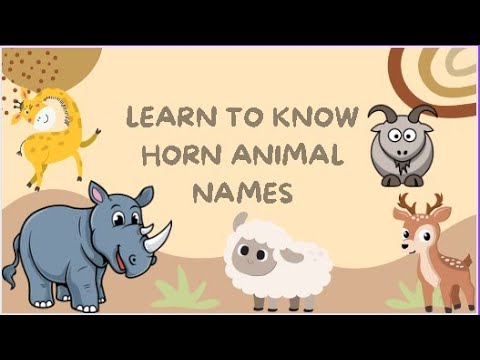 LEARN TO KNOW HORN ANIMAL NAMES