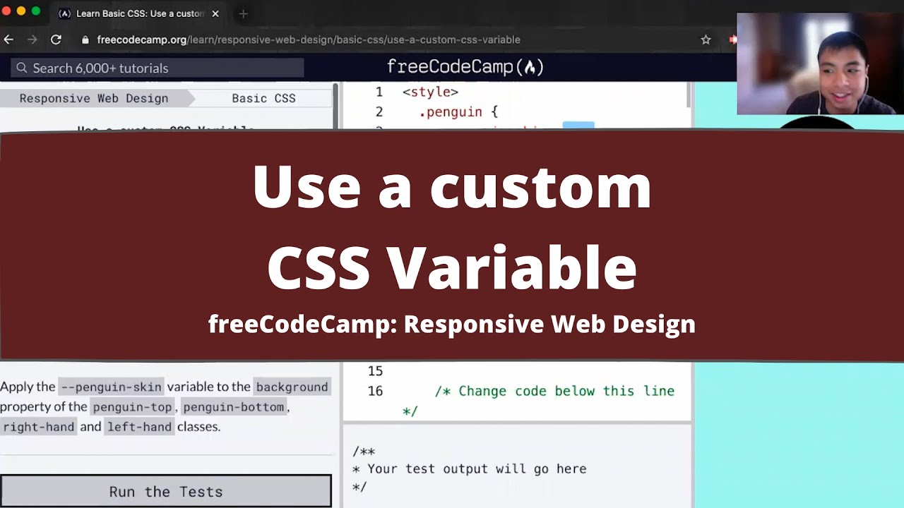 Use a custom CSS Variable (Basic CSS) freeCodeCamp tutorial