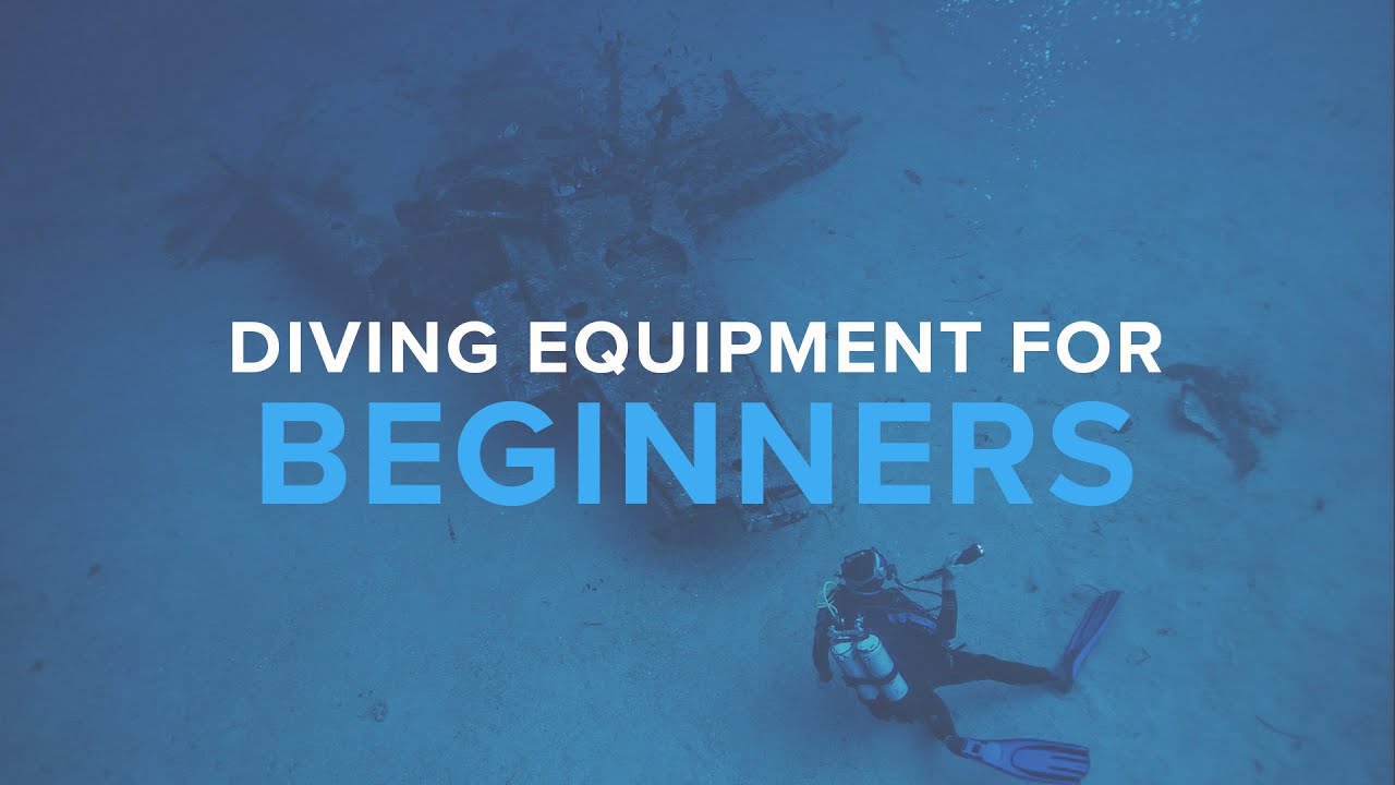 Scuba Diving Equipment For Beginners | Deep Dive