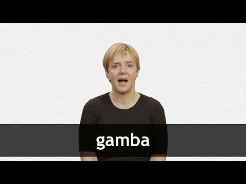 English Translation of “GAMBA” | Collins Spanish-English Dictionary