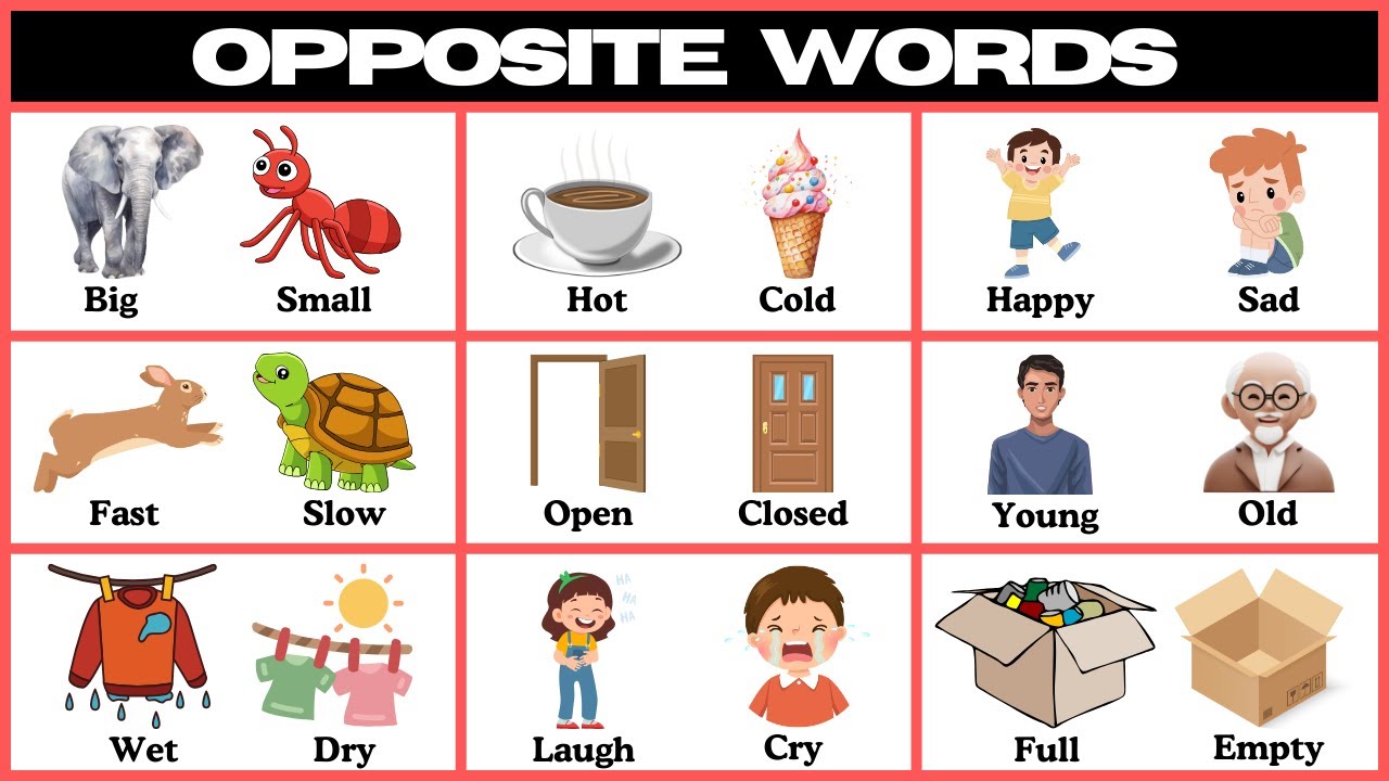Fun & Easy Opposite Words for Kids: Learn 50+ with Simple Sentences!