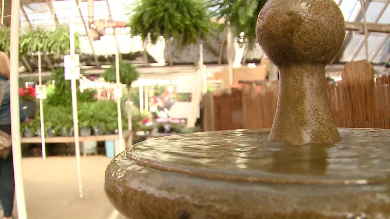 9 tips for your lawn and garden